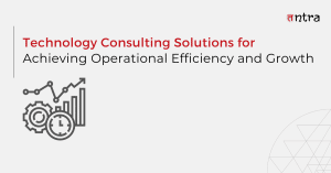 Boost Efficiency & Growth: Top Tech Consulting Solutions - Tntra