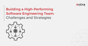 Building a High-Performing Software Engineering Team: Challenges and ...